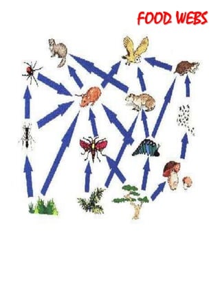 Food webs | DOCX