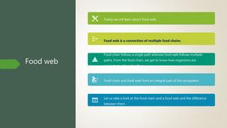 Food webs | PPTX