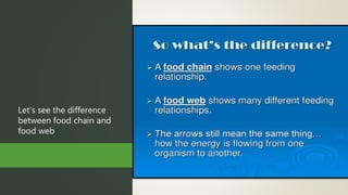 Food webs | PPTX