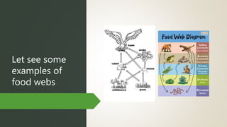 Food webs | PPTX | Food & Drink