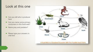 Food webs | PPTX | Food & Drink