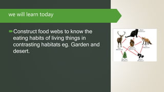 Food webs | PPTX