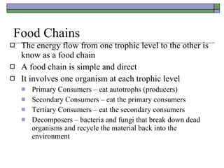Food webs and chains | PPT