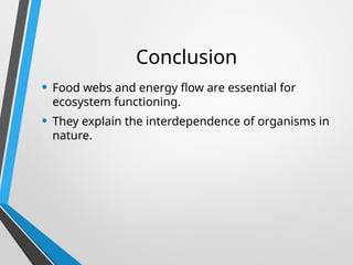 Food_Webs_and_Energy_Flow_MSc_Zoology.pptx