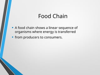 Food_Webs_and_Energy_Flow_MSc_Zoology.pptx