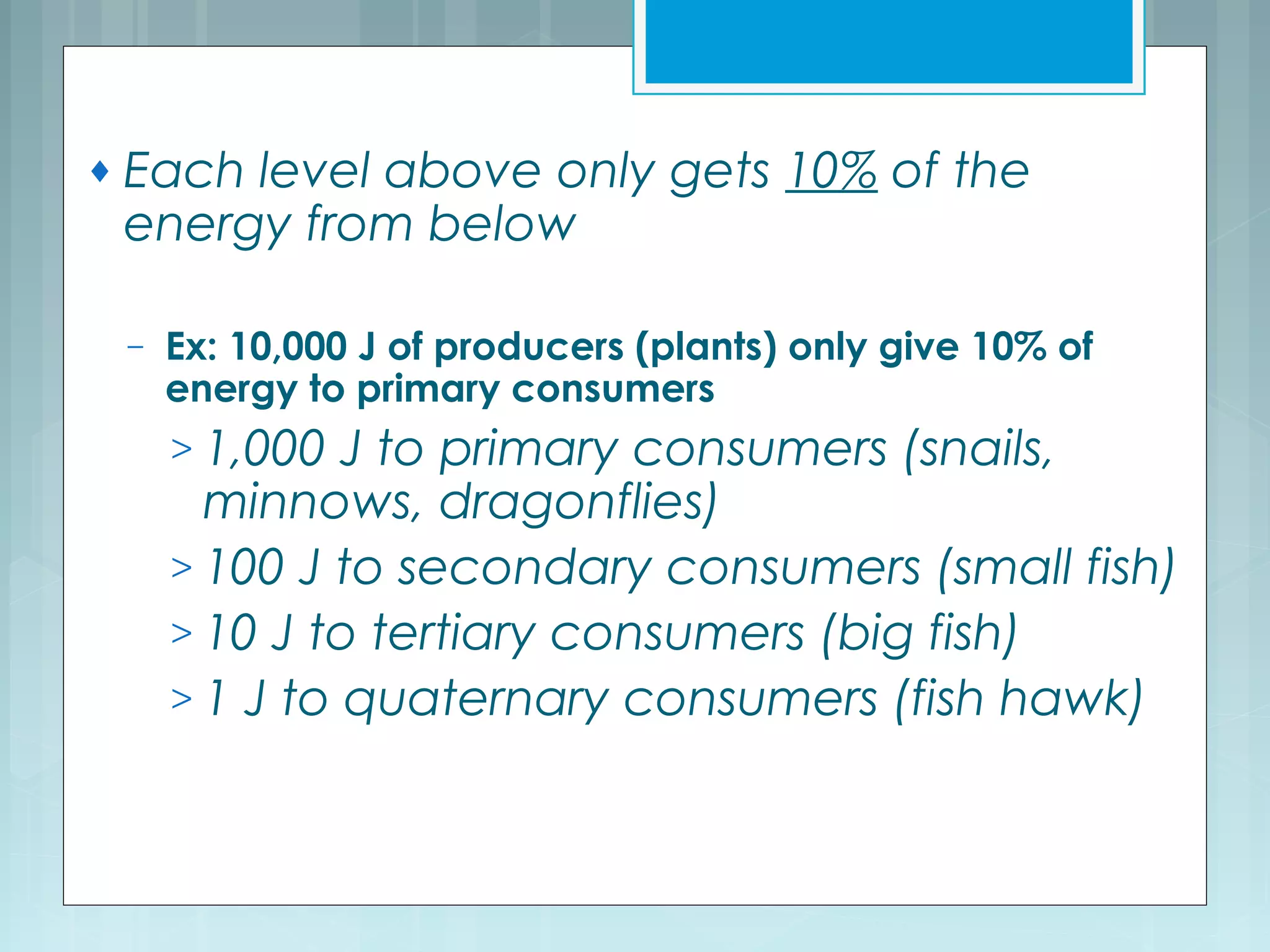 Food webs and trophic levels | PPT