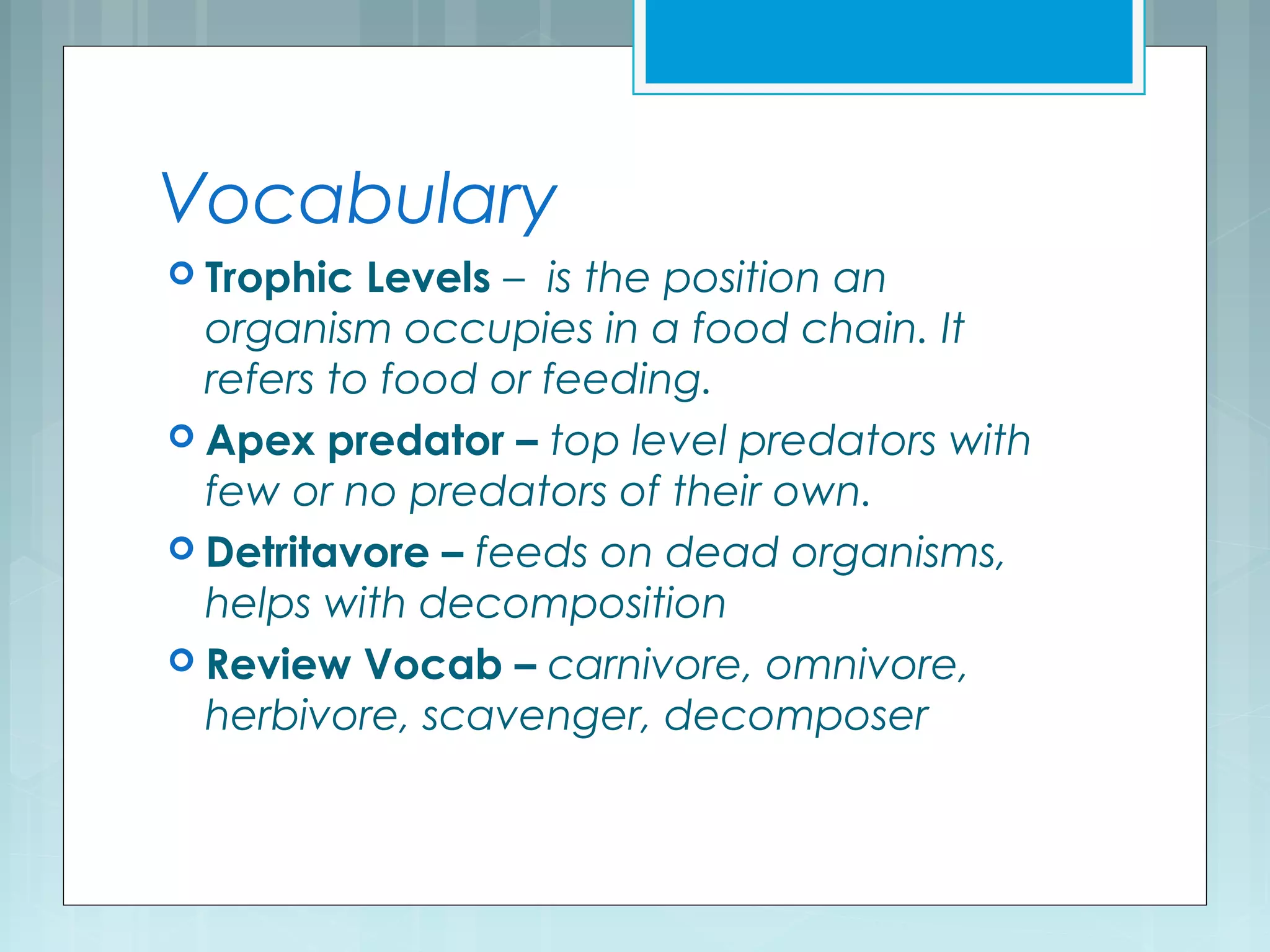Food webs and trophic levels | PPT