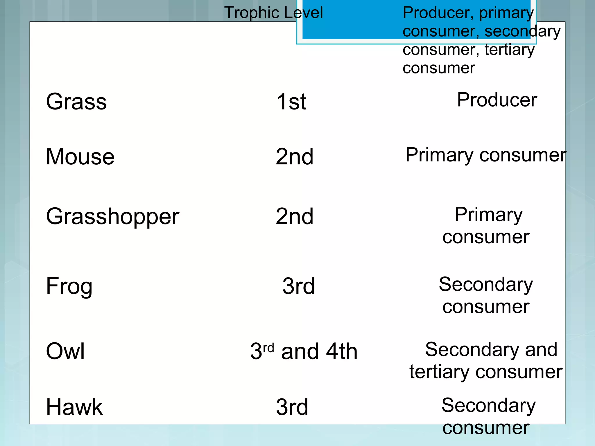 Food webs and trophic levels | PPT