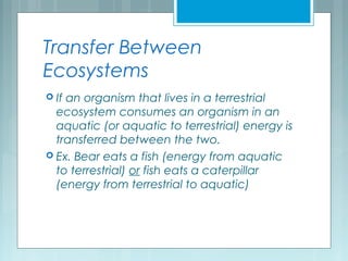 Food webs and trophic levels | PPT