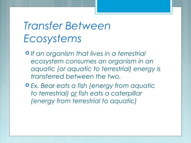 Food webs and trophic levels | PPT | Science