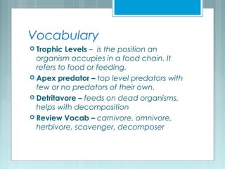 Food webs and trophic levels | PPT