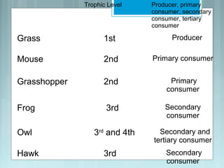 Food webs and trophic levels | PPT