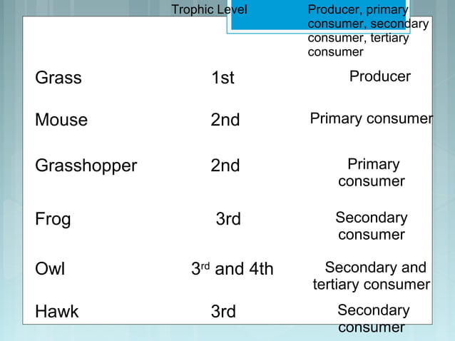 Food webs and trophic levels | PPT | Science