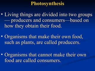 Food Webs Photosynthesis Q And A | PPT