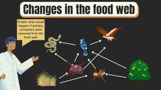 Food Webs ppt.pdf