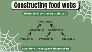 Food Webs ppt.pdf