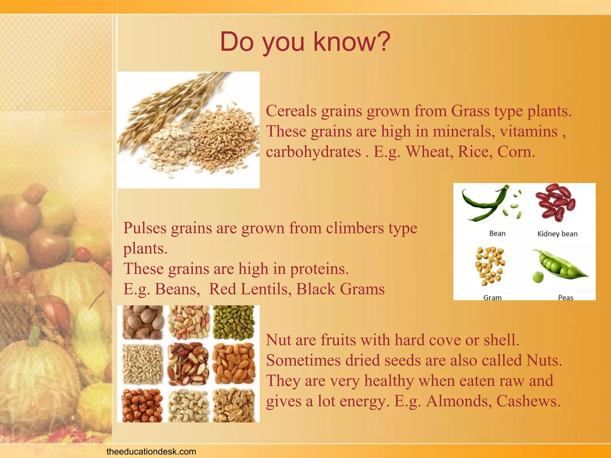 Environmental Science (EVS) : Food We Eat (Class II) | PDF