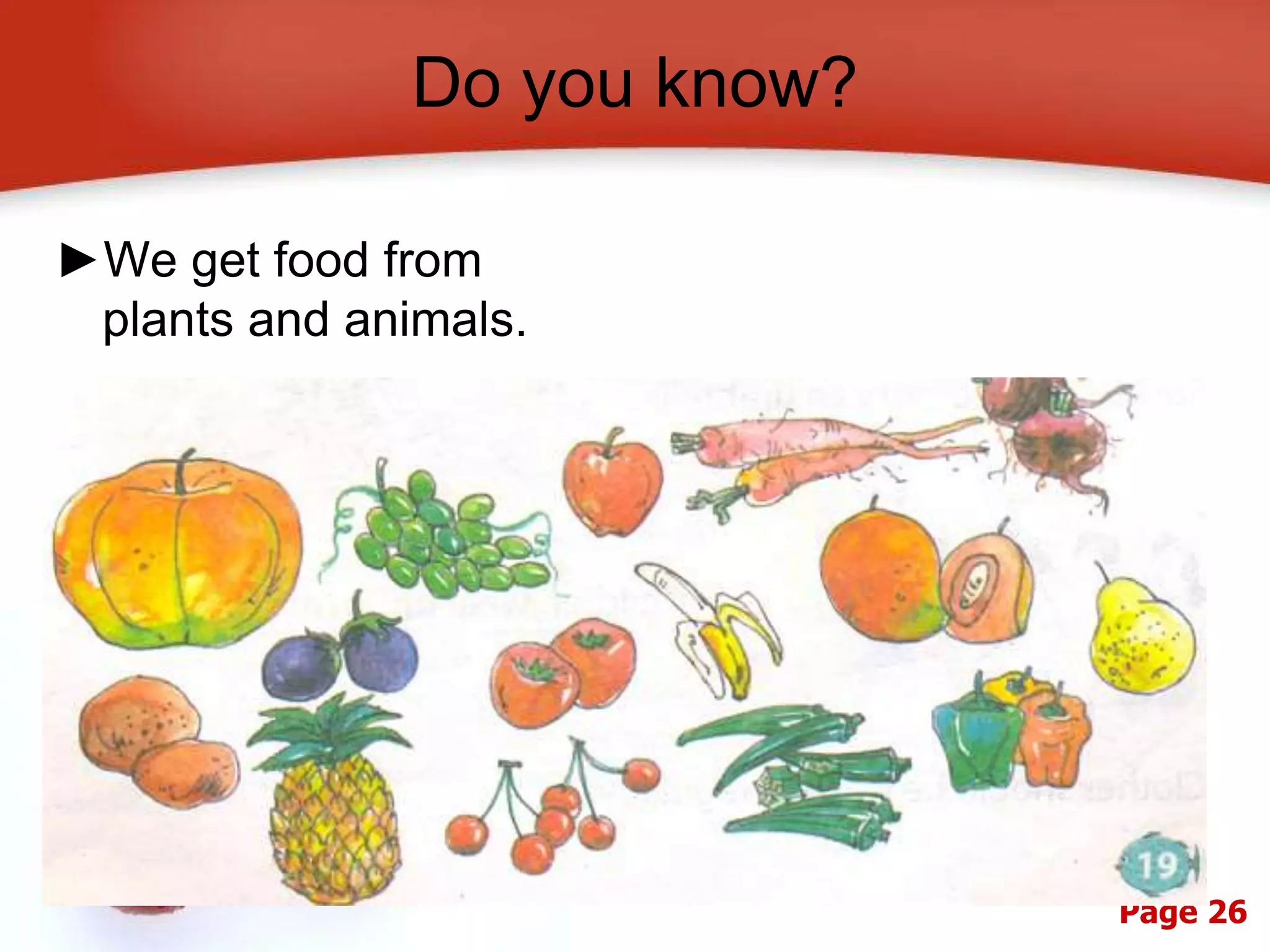 Food we eat | PPTX