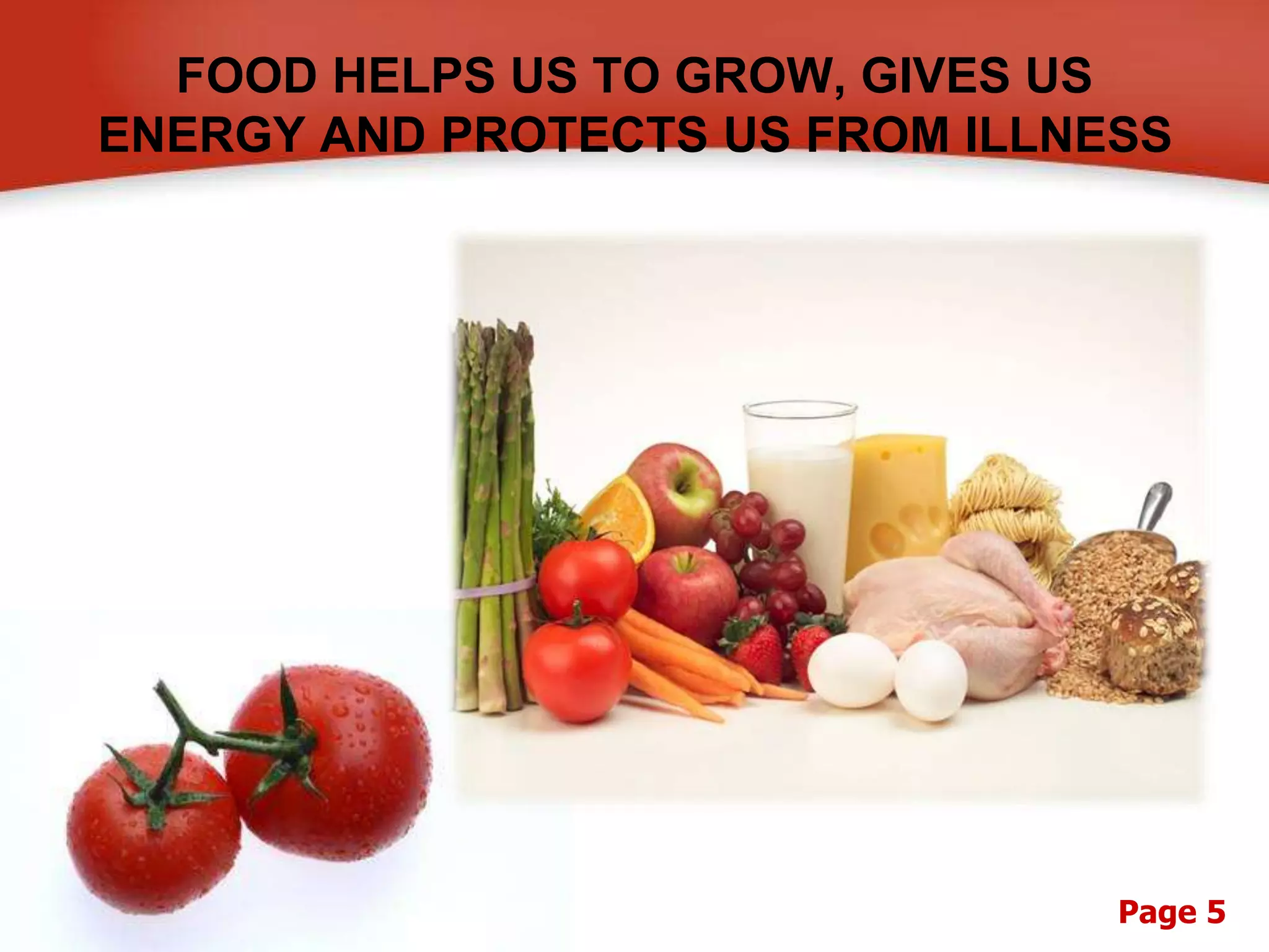 Food we eat | PPTX