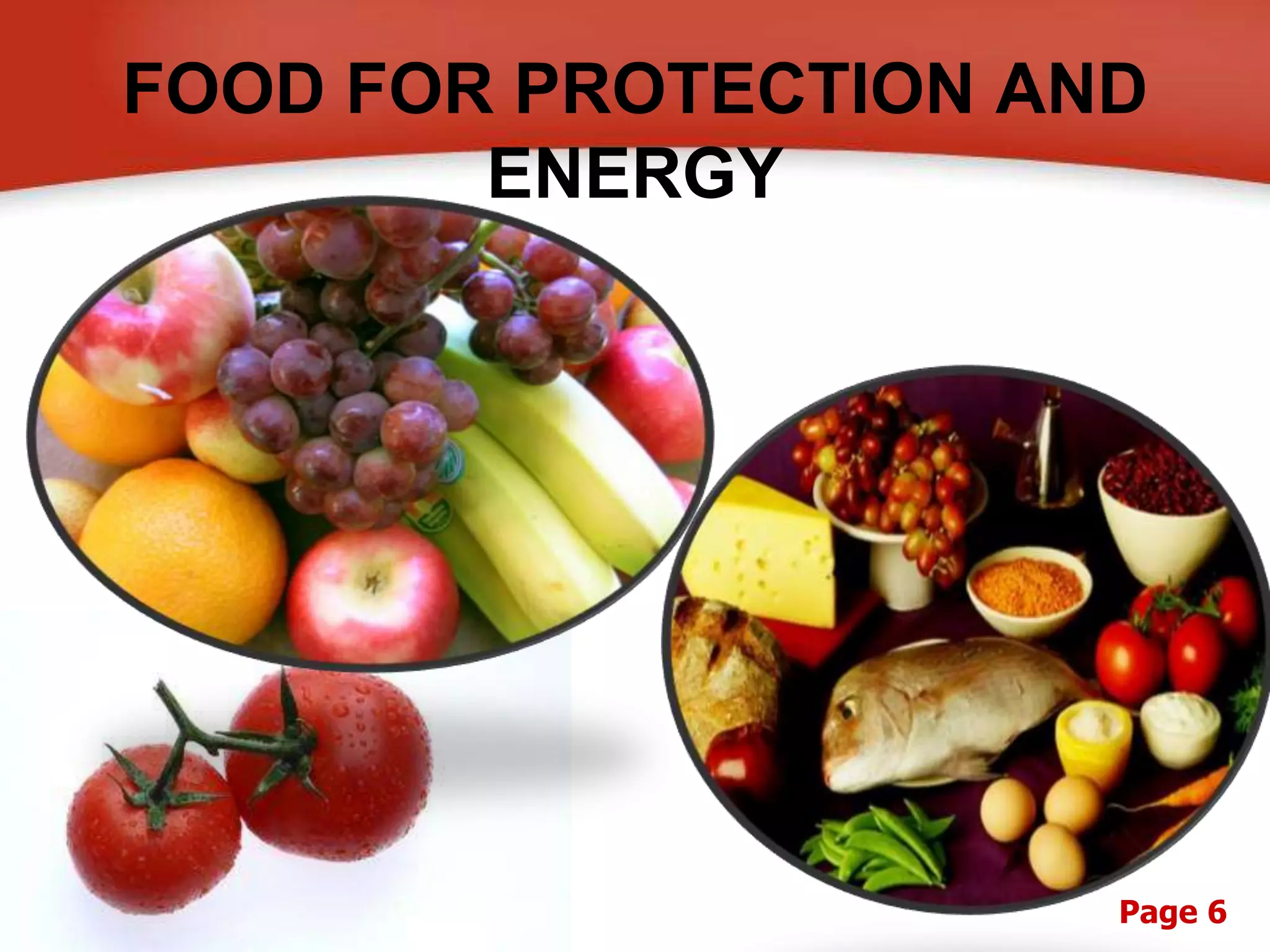 Food we eat | PPTX