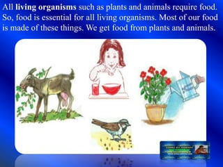 FOODS WE EAT - ENVIRONMENTAL STUDIES CLASS III-CBSE | PPTX