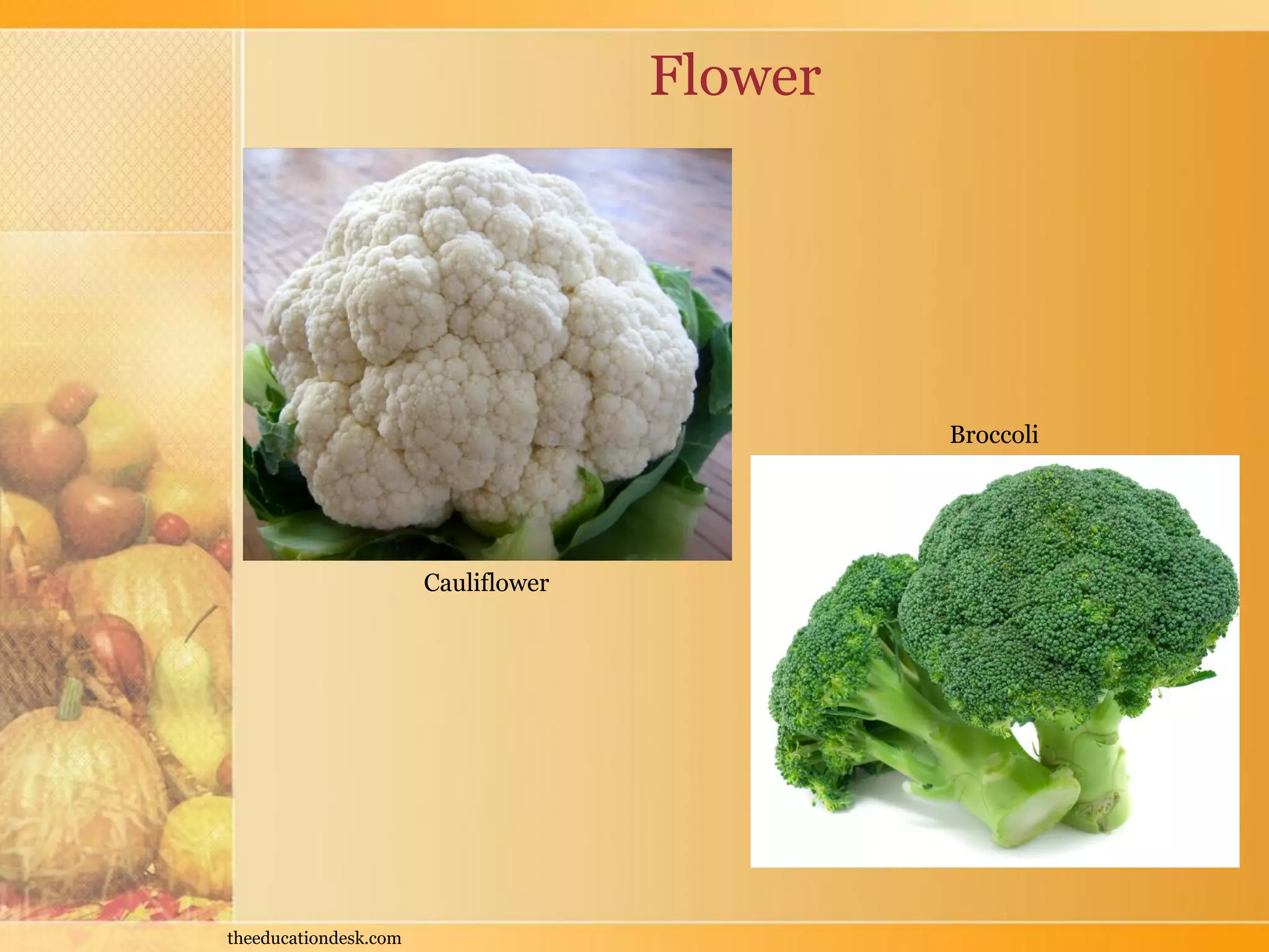 Environmental Science (EVS) : Food We Eat (Class I) | PDF