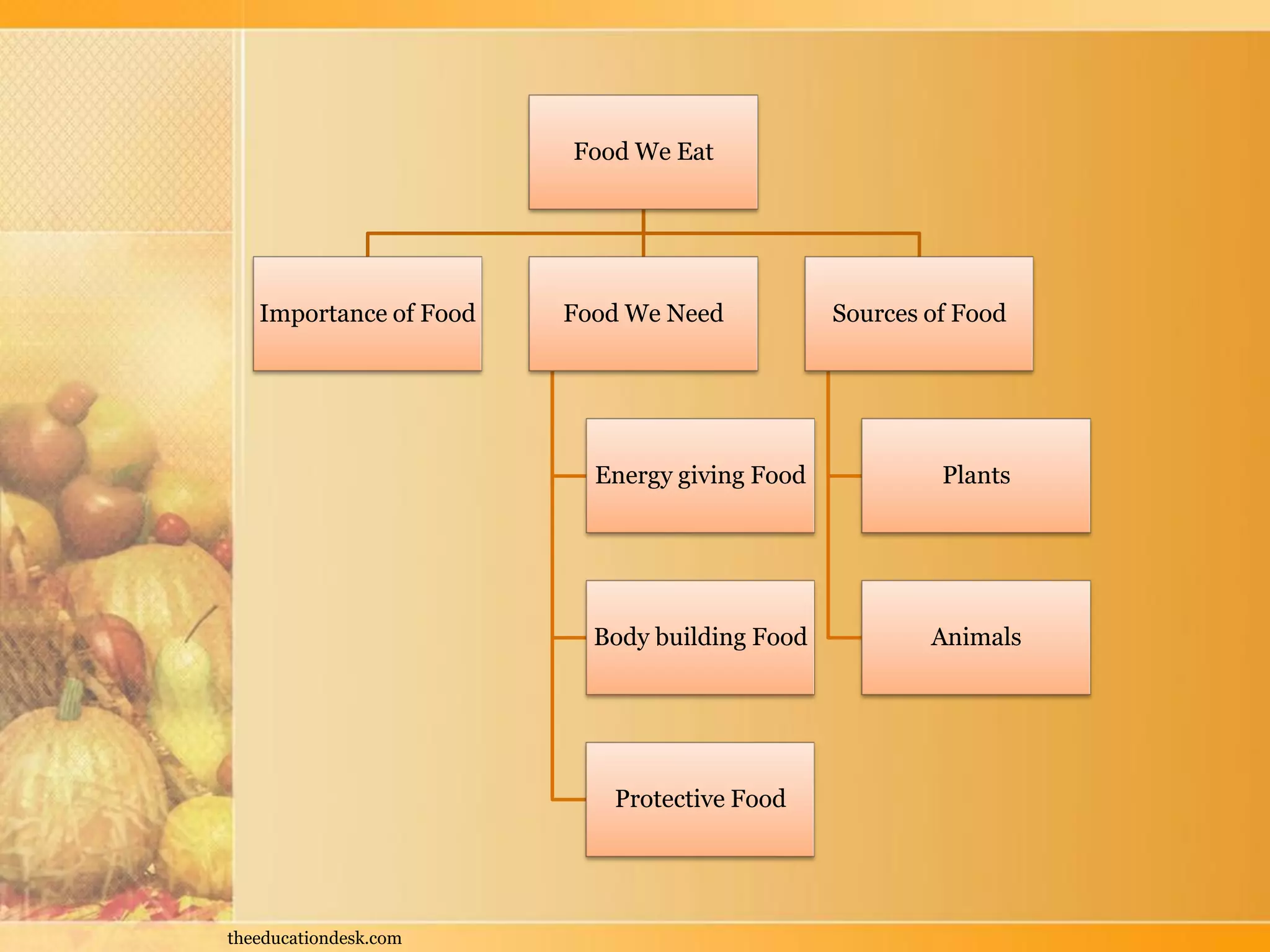 Environmental Science (EVS) : Food We Eat (Class I) | PDF