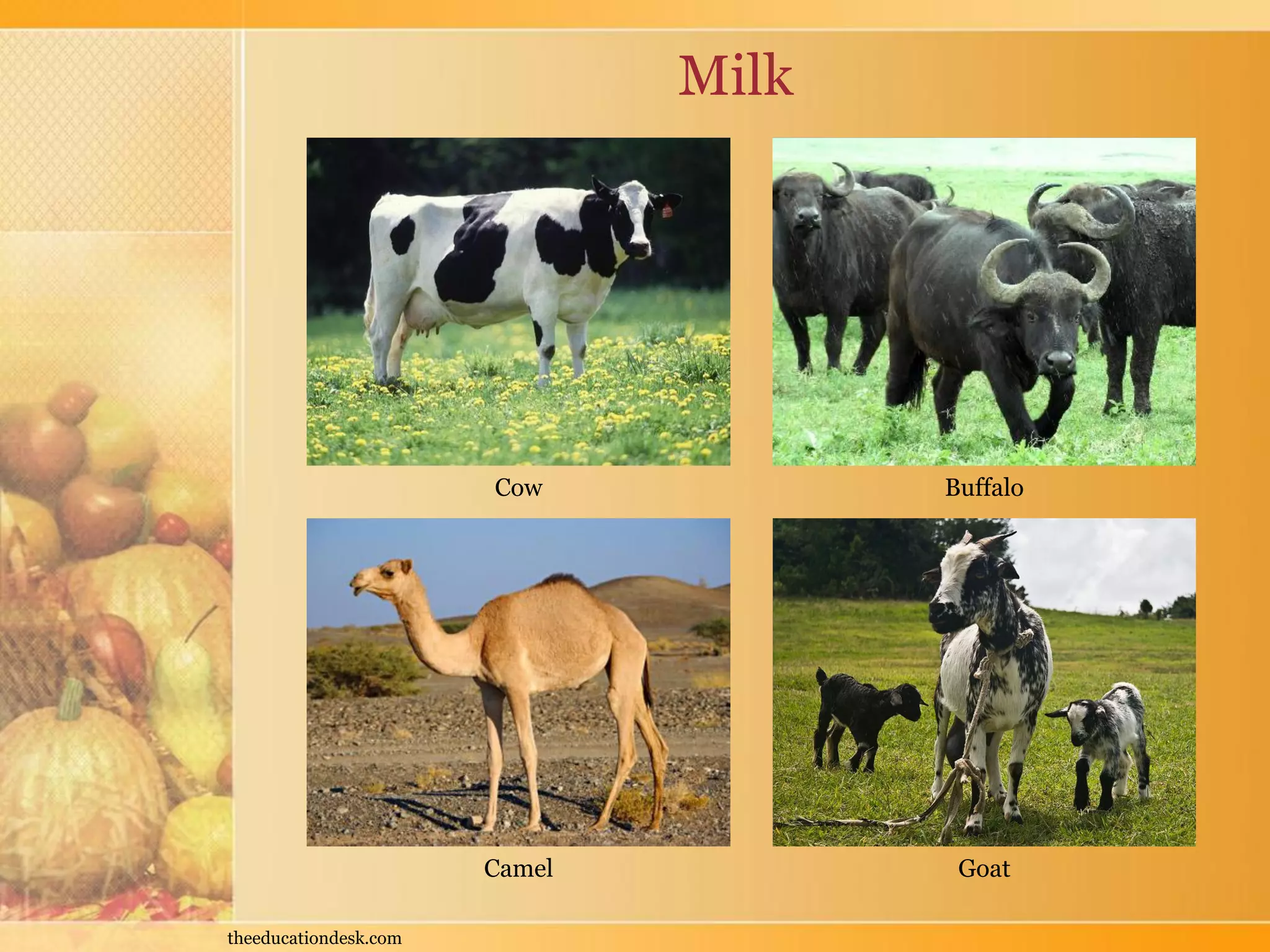 Environmental Science (EVS) : Food We Eat (Class I) | PDF