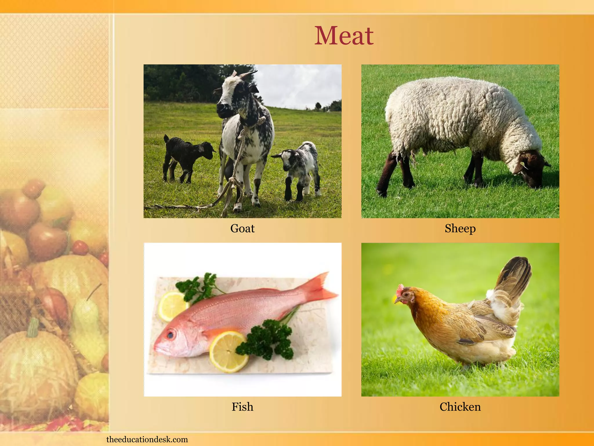 Environmental Science (EVS) : Food We Eat (Class I) | PDF