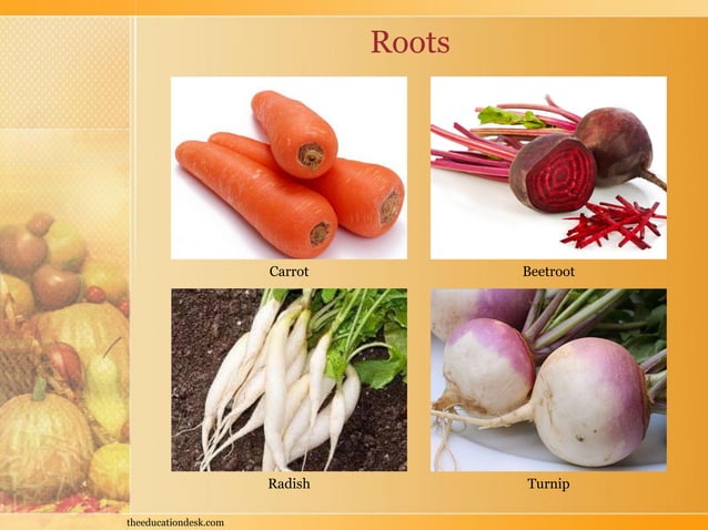 Environmental Science (EVS) : Food We Eat (Class I) | PDF | Healthy ...