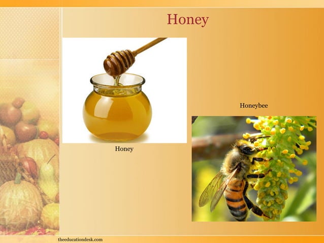 Environmental Science (EVS) : Food We Eat (Class I) | PDF | Healthy ...