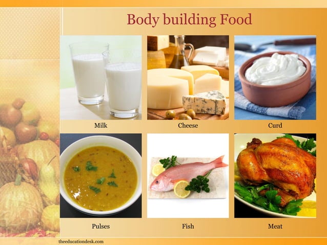 Environmental Science (EVS) : Food We Eat (Class I) | PDF | Healthy ...