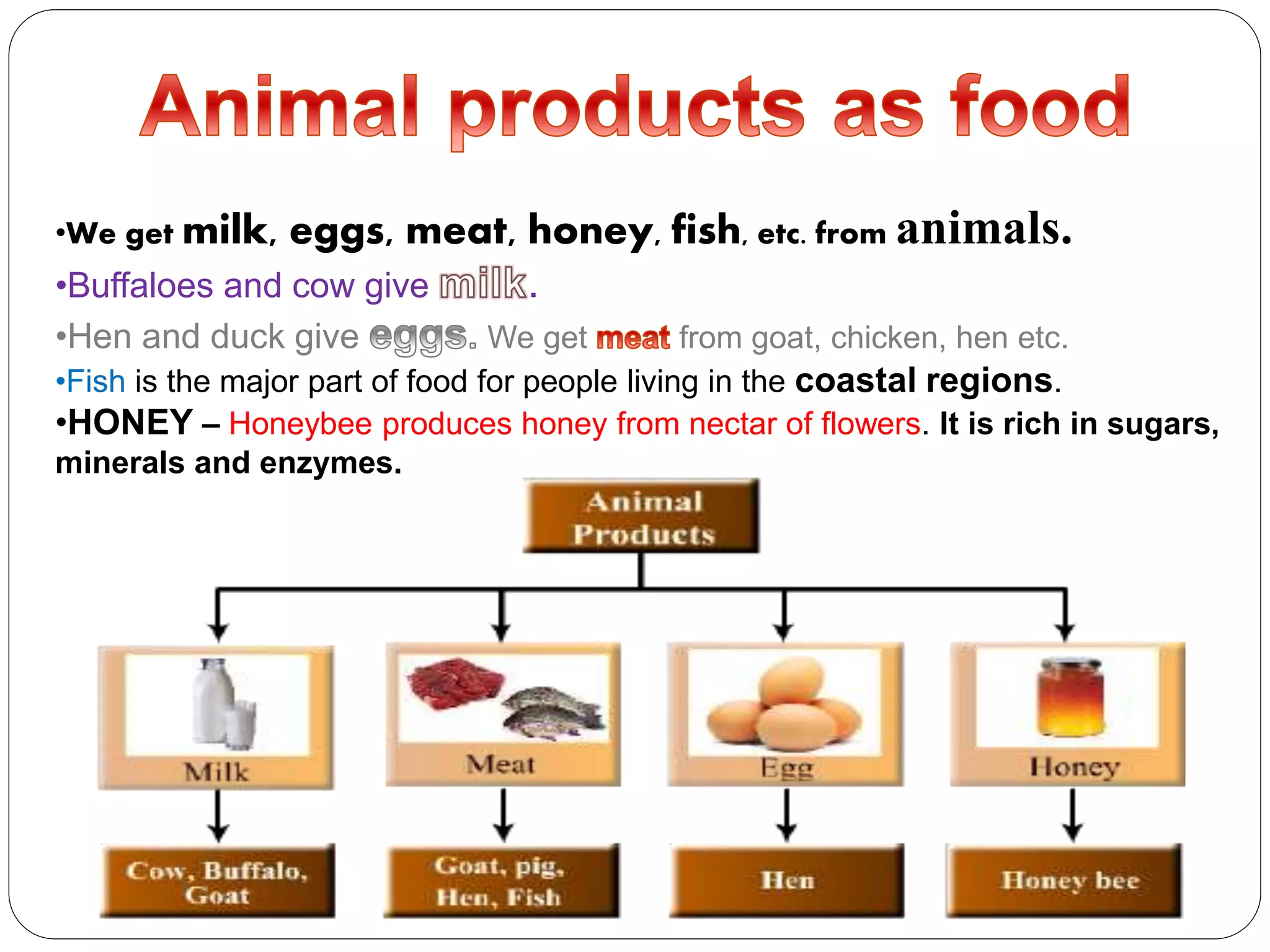 Food :where does it come from? | PPTX