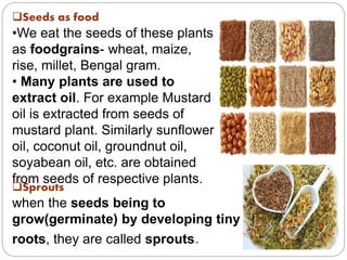Food :where does it come from? | PPTX