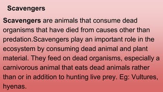 Food where does it come from Grade 6 CBSE | PDF