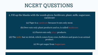 Food where does it come from | PPTX