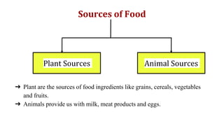 Food where does it come from | PPT
