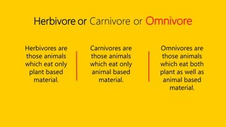 Food where does it come from? | PPTX