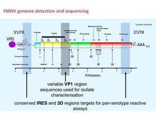 Recent Advances in Diagnosis of Foot-and-Mouth Disease | PPTX ...
