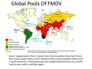 Recent Advances in Diagnosis of Foot-and-Mouth Disease | PPTX