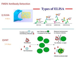 Recent Advances in Diagnosis of Foot-and-Mouth Disease | PPTX ...