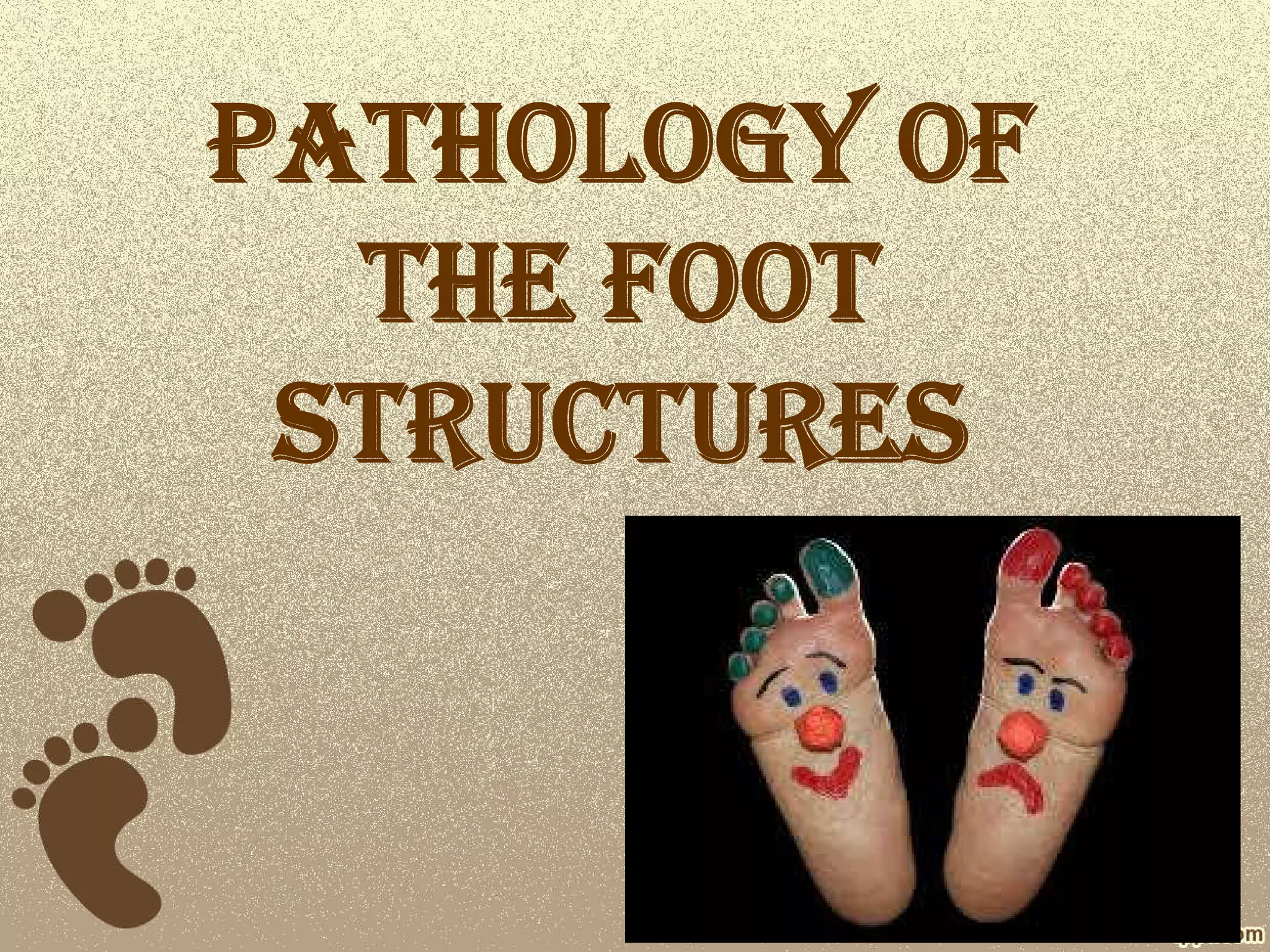 Foot pathology MRI part 1.shorouk zaki | PDF