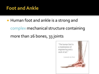 Foot Anatomy.ppt