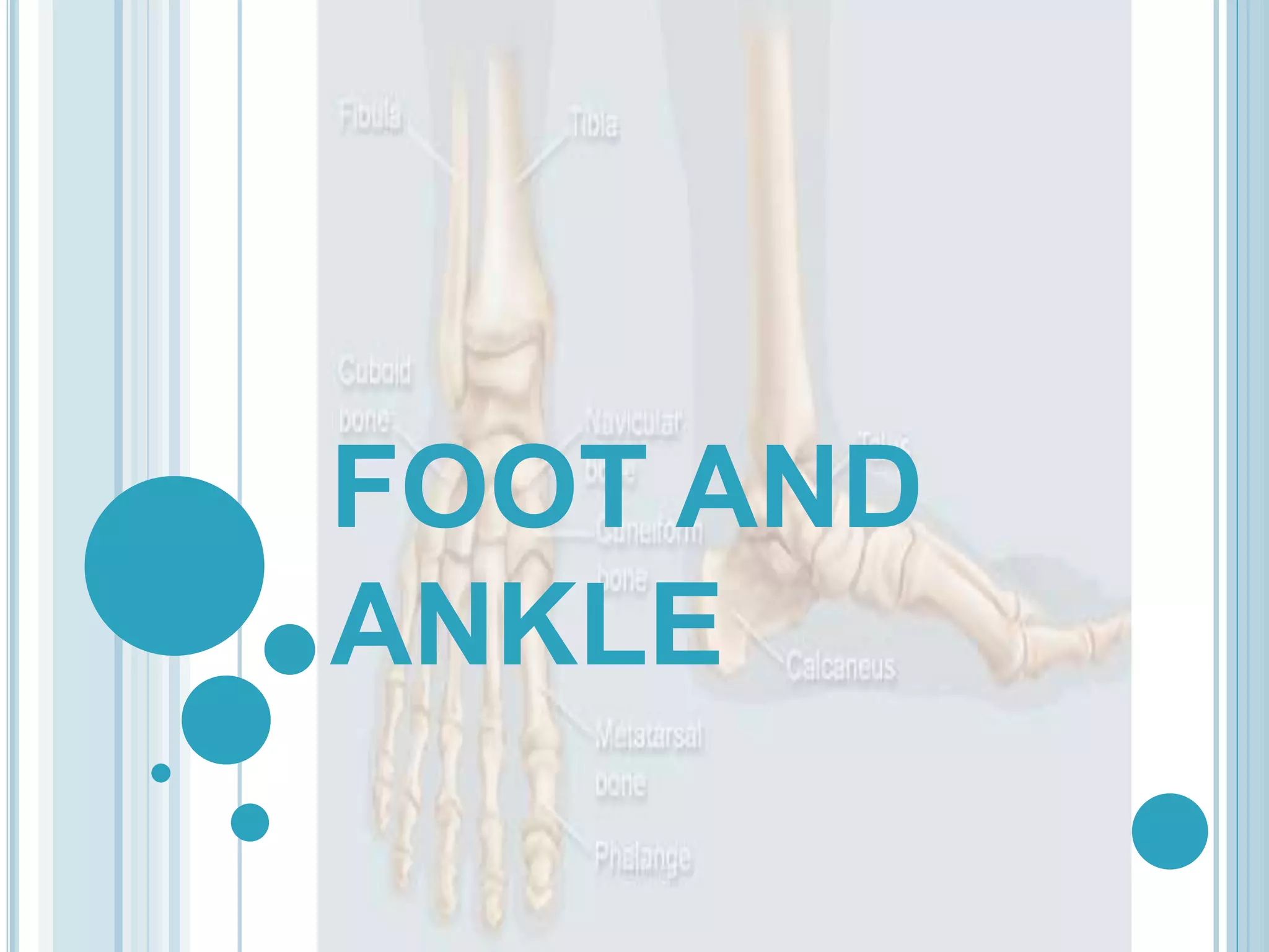 Bio mechanics of Foot and ankle | PPTX