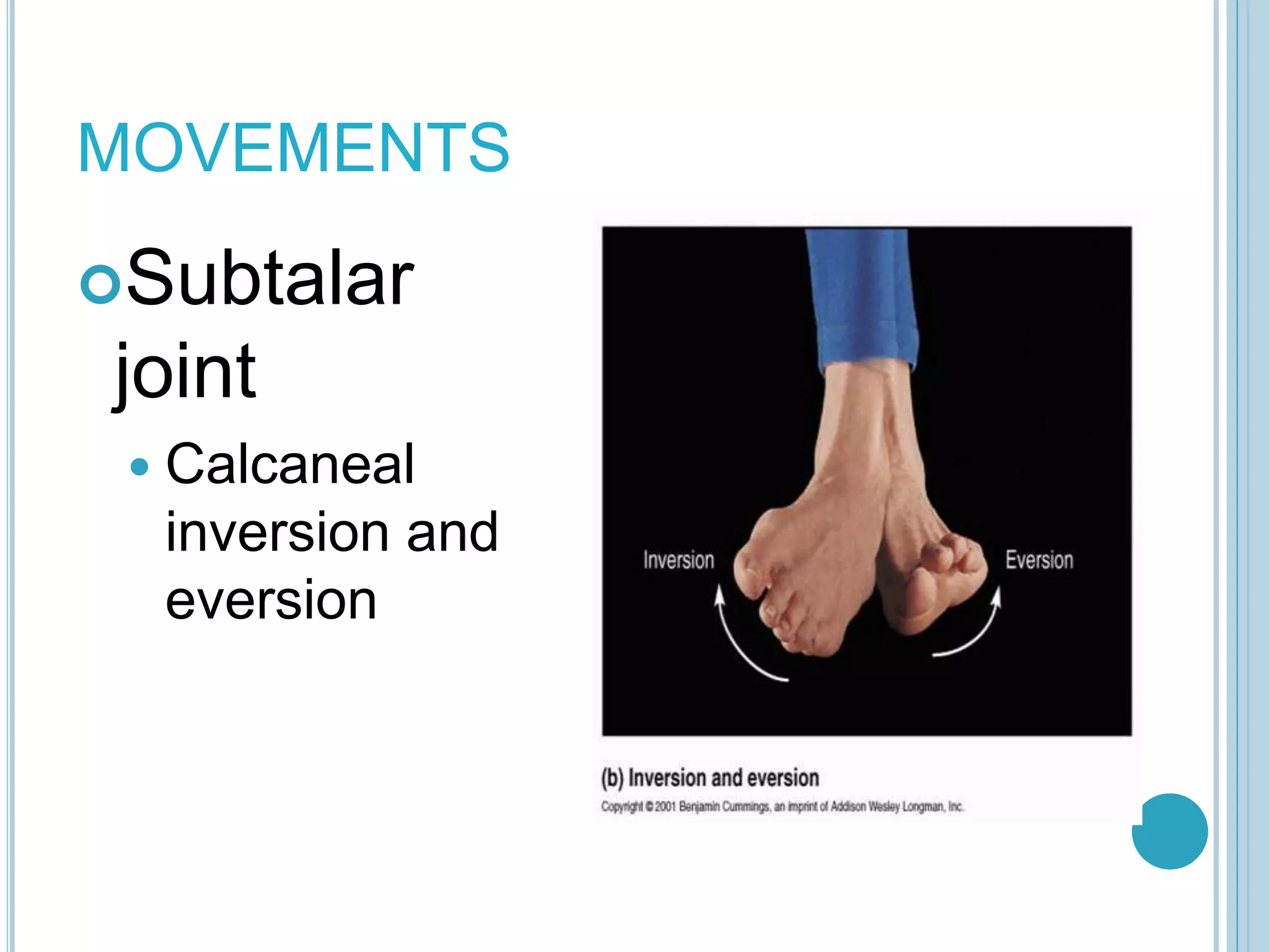 Bio mechanics of Foot and ankle | PPTX
