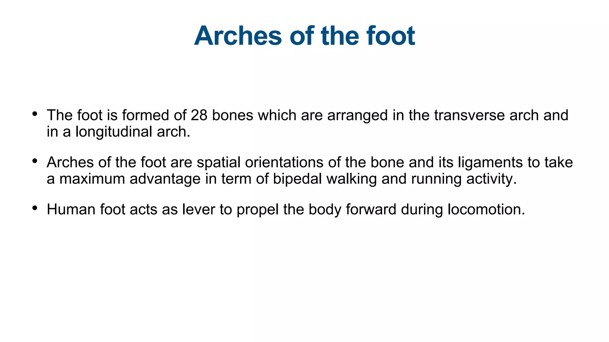 Arches of the foot and plantar fascitiis | PPTX