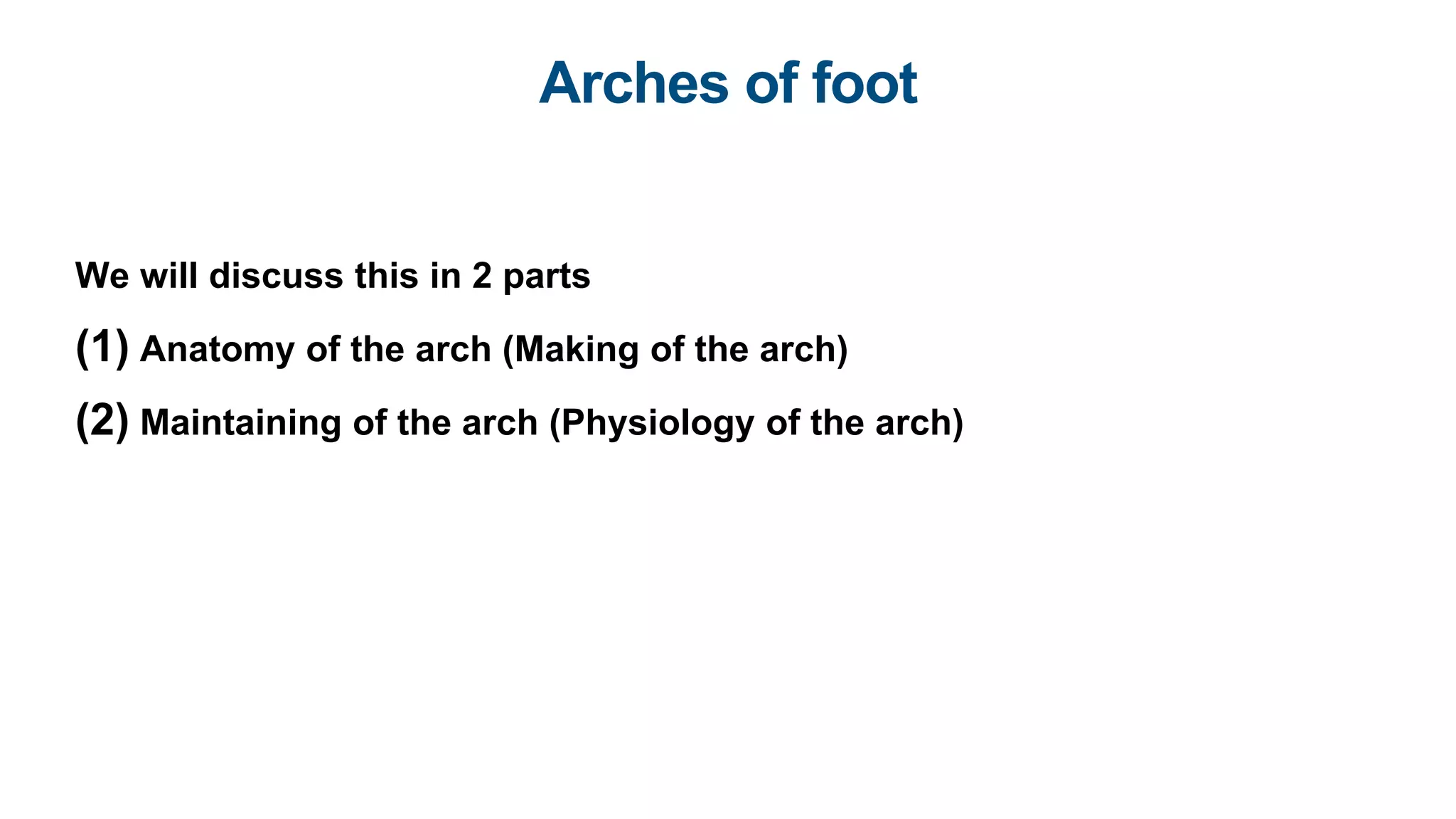 Arches of the foot and plantar fascitiis | PPTX