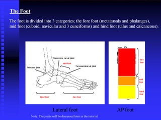 Foot and ankle anatomy in normal healthy individual | PPTX