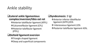 Foot and ankle anatomy & biomechanics.pptx
