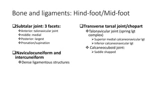 Foot and ankle anatomy & biomechanics.pptx